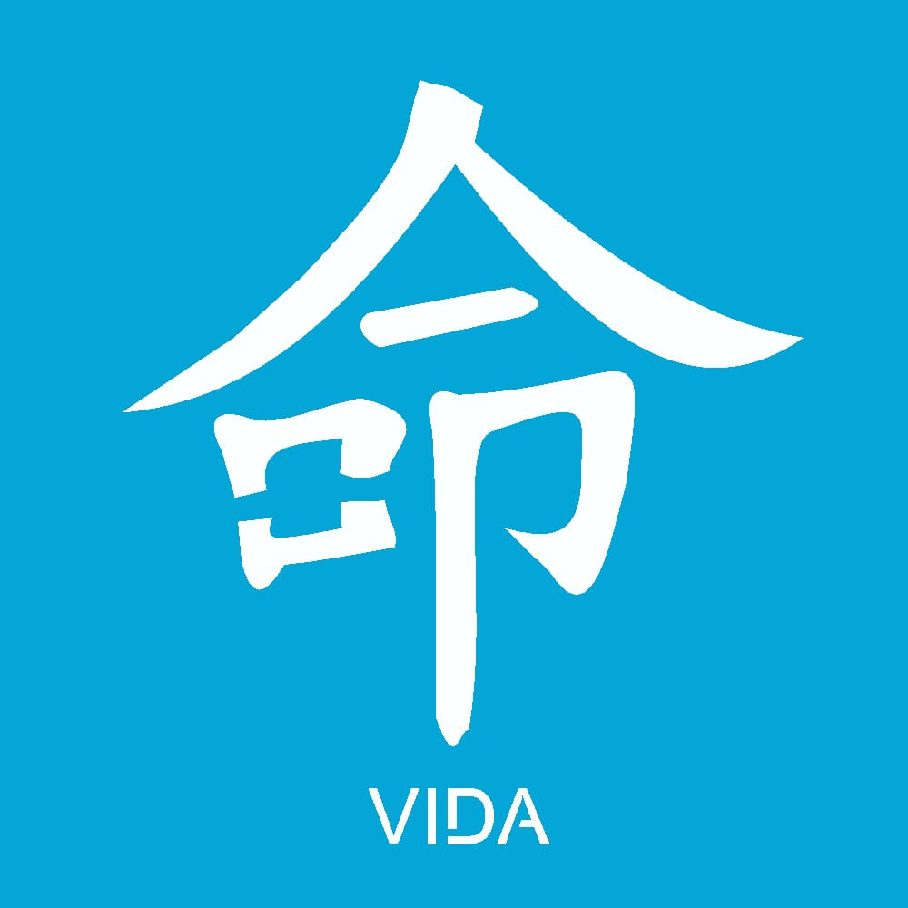 Stencil 10 x 10 Ideograma Vida COD.219 - lojametallica