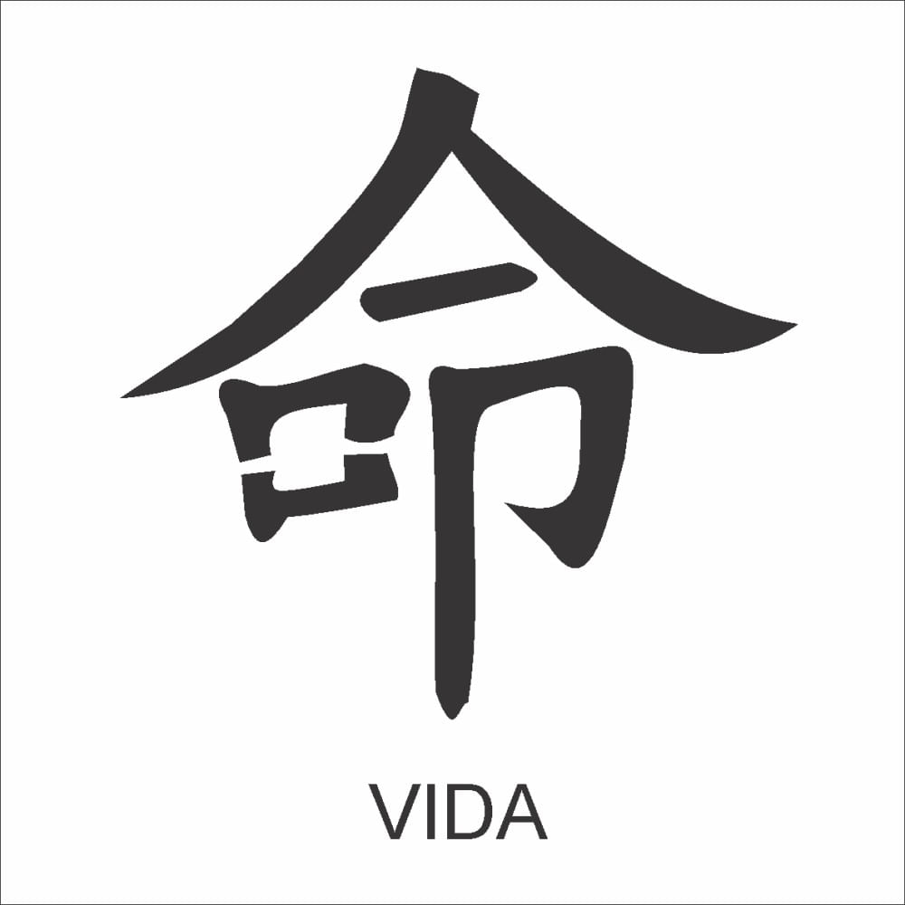 Stencil 10 x 10 Ideograma Vida COD.219 - lojametallica